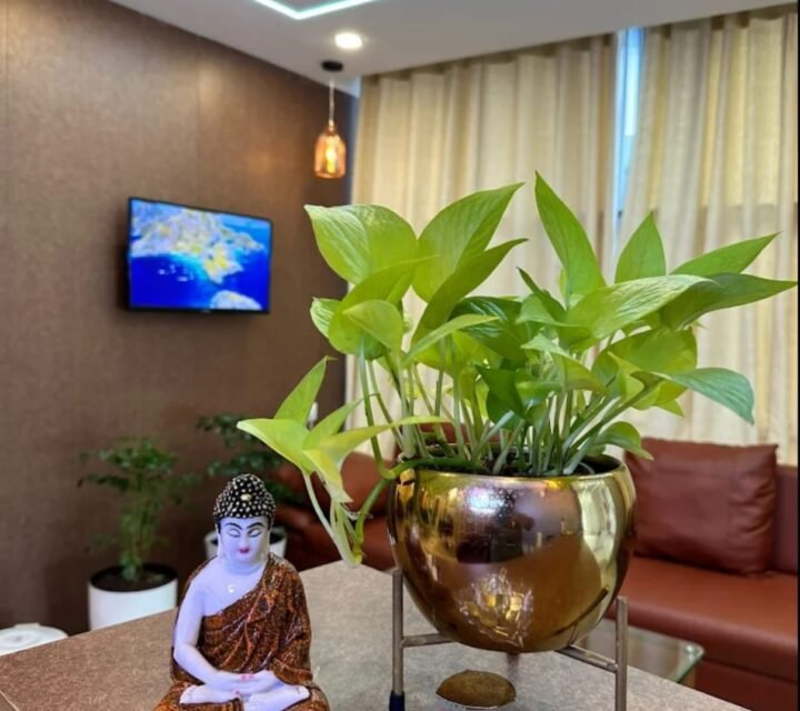 Lavella Wellness Beauty Parlour & Spa Calicut - Availableo